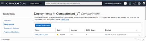 using oracle cloud infrastructure oci command line interface cli