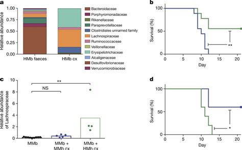 C Immunis Protects Mmb Mice From Colitis A Relative Abundance Of