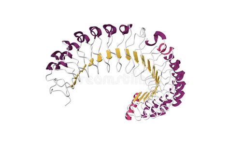 Shoc2 Stock Illustrations 1 Shoc2 Stock Illustrations Vectors And Clipart Dreamstime