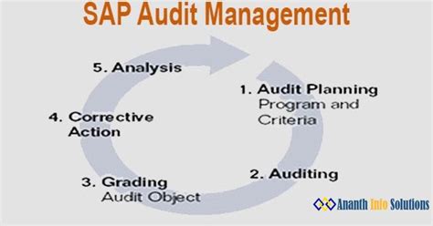 Sap Audit Management Process