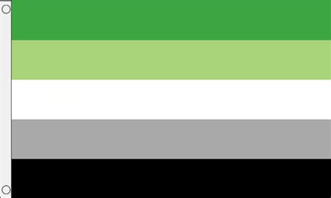 Aromantic Flag 5 X 3 Ft