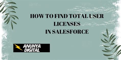 Anuhya Digital On Linkedin How To Find Total User Licenses In Salesforce