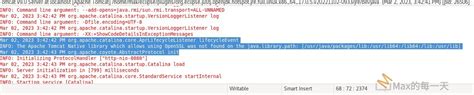 The Apache Tomcat Native Library Which Allows Using Openssl Was Not