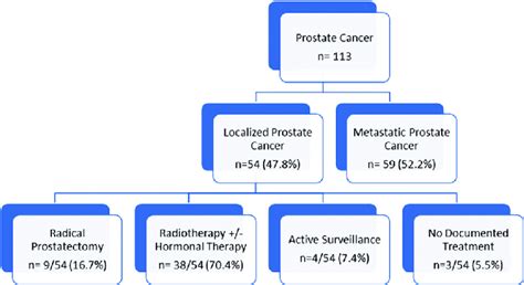 Algorithm Of Diagnosed Prostate Cancer Patients And The Treatment They