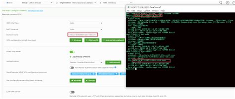 ATP FLEX How To Check The DNS Name Of The Remote VPN Server Zyxel Community