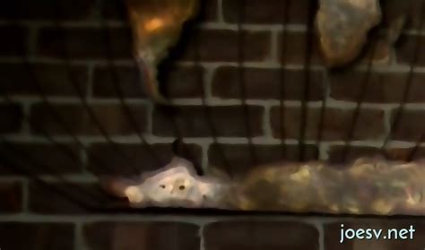 Fantasy Black Gay Porn Eporner Fantasy Black Gay Porn Eporner