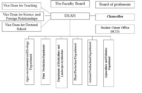 Organisational Structure Of Fae Download Scientific Diagram