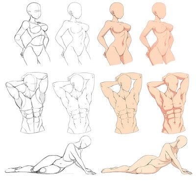 What Is The Best Way To Practice Drawing Anatomy I Draw Anime Manga Style Quora