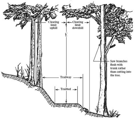Tree Cutting Drawing At PaintingValley Com Explore Collection Of Tree Cutting Drawing