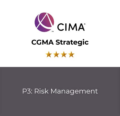 P3 Risk Management Lotus Vision