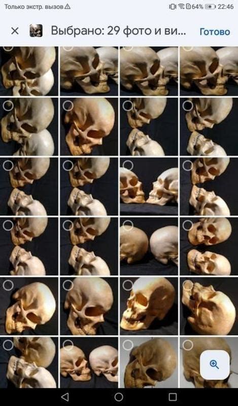 Череп гіпсовий — ціна 850 грн у каталозі Статуетки Купити товари для дому та побуту за доступною