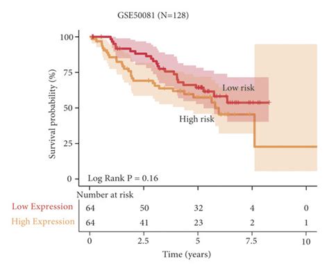Immune Related Gene Modeling Predicts Overall Survival In Patients With Download Scientific