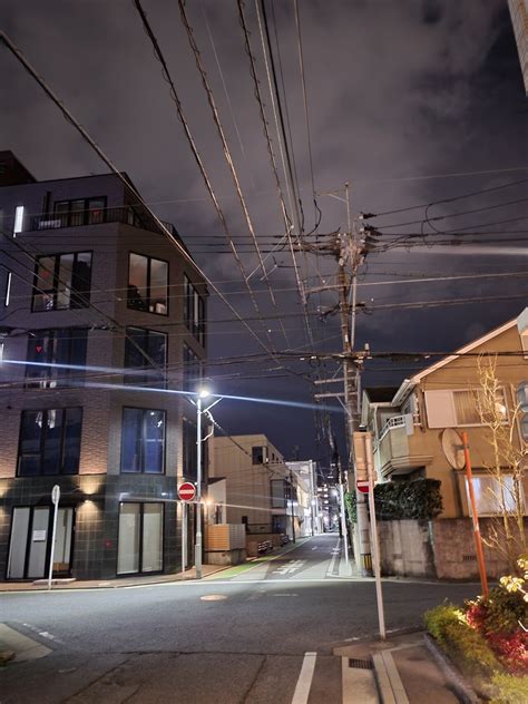 밤산책 버튜버 에펨코리아