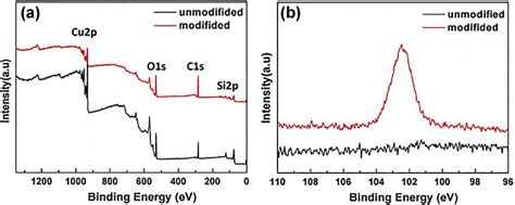 Xps Survey Spectra Of Unmodified Surfaces And Surfaces Modified With