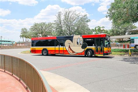 Disneys Complimentary Bus Transportation A Complete Guide