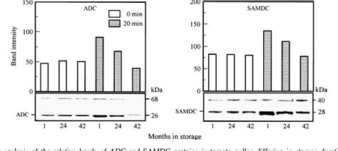 Figure 1 From Loss Of Viability Of Tomato Pollen During Long Term Dry