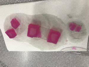 Diffusion In Agar Cubes Lauren S Blog Diffusion In Agar Cubes Lauren S Blog