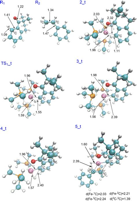 Fully Optimized Structures Of 2 T 3 T 4 T 5 T The Reactant R1 R2