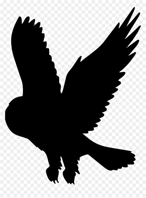 Owl Silhouette Flying