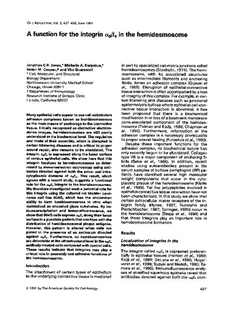 Pdf A Function For The Integrin Alpha 6 Beta 4 In The Hemidesmosome