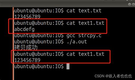 day1 io进程线程，fgets与fputs函数的使用 csdn博客