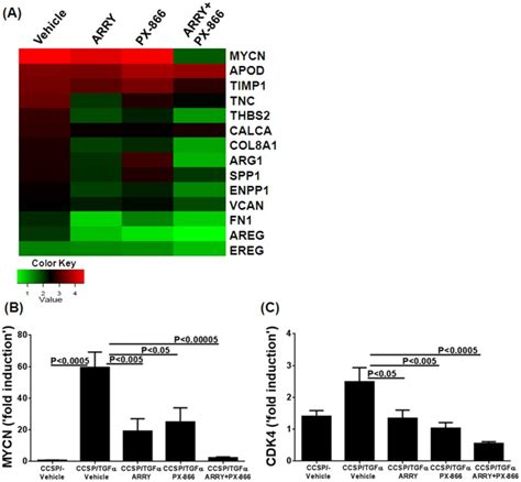A Heatmap Depicting Expression Levels Of Several Top Genes Involved