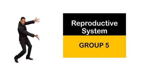 Reproductive System Presentation Group10pdf