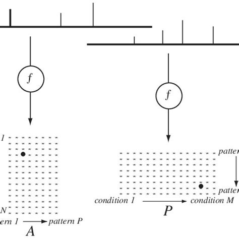 The Relation Of The Atomic Domains To The Model Domains The Atomic