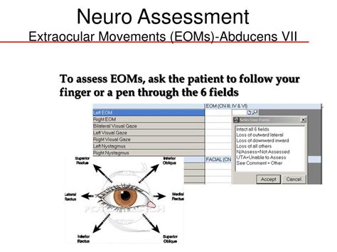 Ppt Advanced Neuro Assessment Powerpoint Presentation Free Download
