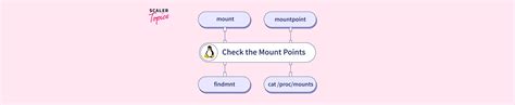 how to check the mount points in linux scaler topics