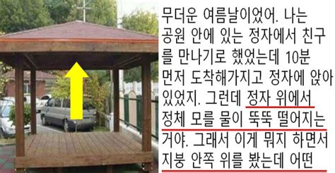 정자에서 친구를 기다리고 있었다 무심코 위를 봤는데 지붕에 오펀 디스커스