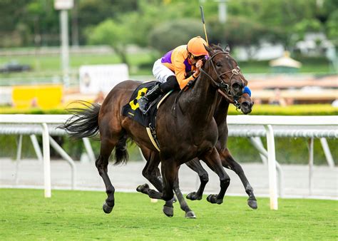 Ruby Nell Stands Out In Lady Of Shamrock Stakes