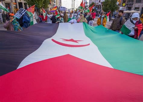 Sáhara Occidental La Rasd Celebra Su 50º Aniversario Retos Y