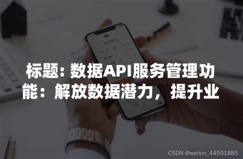 数据api服务管理功能：解放数据潜力，提升业务效率api额度管理功能 Csdn博客