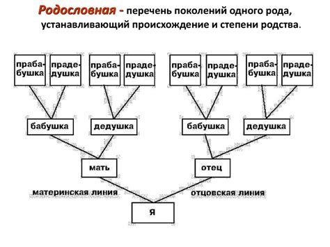 Генеалогия как наука. Что такое генеалогическое древо - презентация онлайн