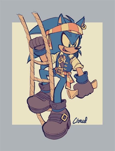Pin By Amy Rose On Sonic Pirate Sonic Adventure Sonic Fan Characters Sonic The Hedgehog