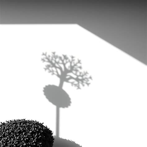 Photo Of Topiary Shadow Casting Geometric Sculpted Shapes Defined Artistic Edges Convey