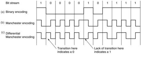 Data Communication Standards And Protocols Ieee8023 Standards For Lan