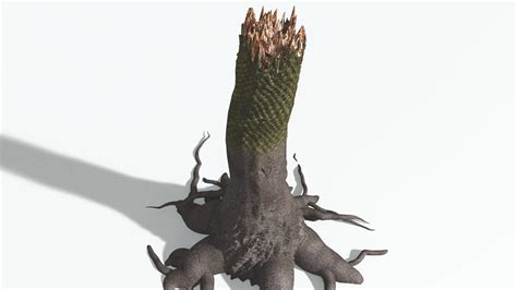Everyplant Lepidodendron Scale Tree 4 14 Models 3d Model Cgtrader