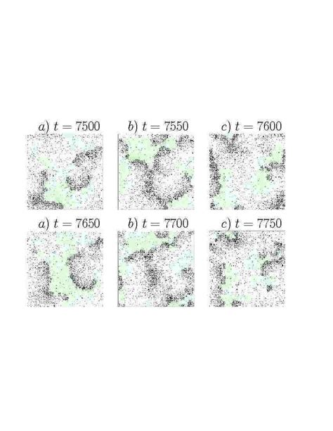 Spatial Distribution Of Simulations Adopting A Regeneration Rate 0033