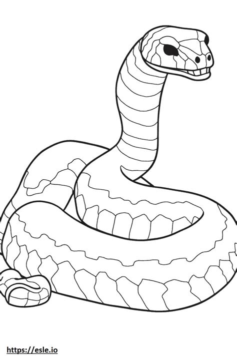 Spotted Python Full Body Coloring Page