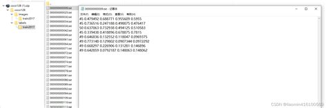 图像处理实战02 Yolov5目标检测 Csdn博客