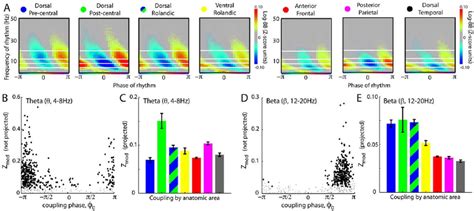 Pooled Phase Coupling At The Lateral Cortical Surface During Baseline