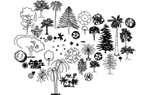 Tree Plants And Tree Elevation Blocks Cad Drawing Details Dwg File Cadbull