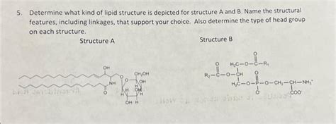 Solved Determine What Kind Of Lipid Structure Is Depicted Chegg