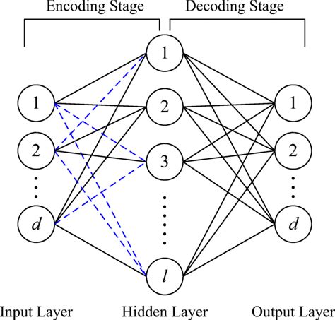 autoencoder network for feature selection the blue dotted lines mean