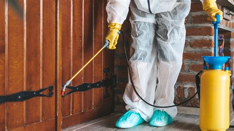 Perimeter Pest Control In Austin Round Rock And Cedar Park Tx Dr
