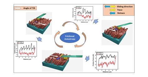 Metallurgical Engineering On Linkedin Anisotropic Stick Slip Frictional Surfaces Via Titania