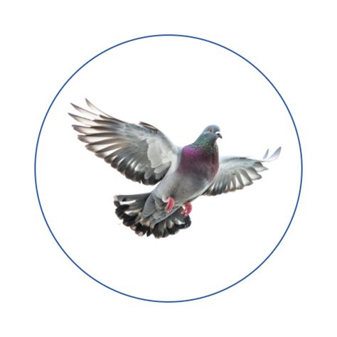 Round Stickers Ottawa Printwell