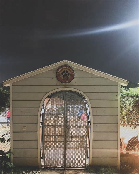 Neel Nilmadhavnayak • Instagram Photos And Videos